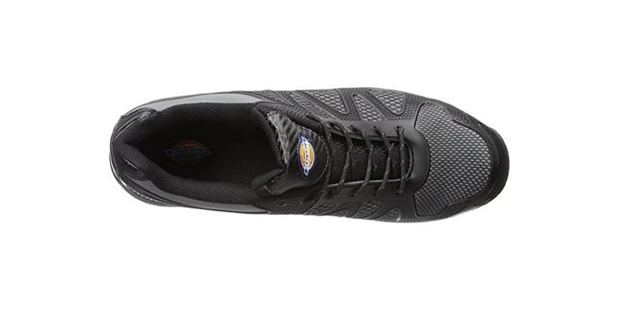 Dickies Men's Fury Steel Toe Work Shoe