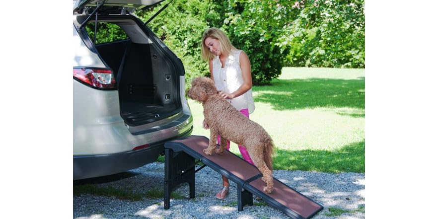 Extra Large Free-Standing Ramp