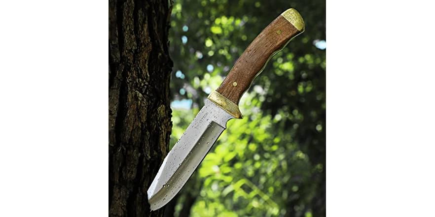 Swiss+Tech Fixed Blade Knife 11 Inch Tang