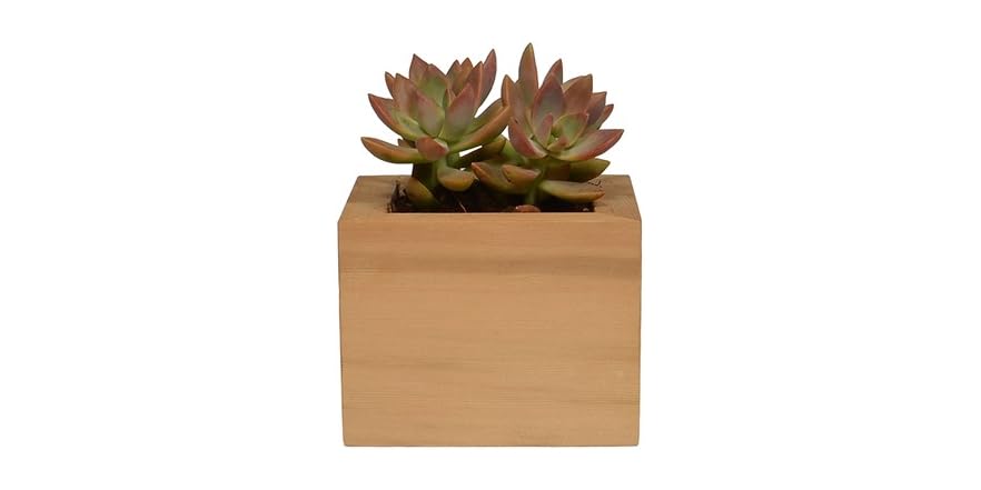 Cedar Table Top Planter Box 4 x 4 (2-pack)