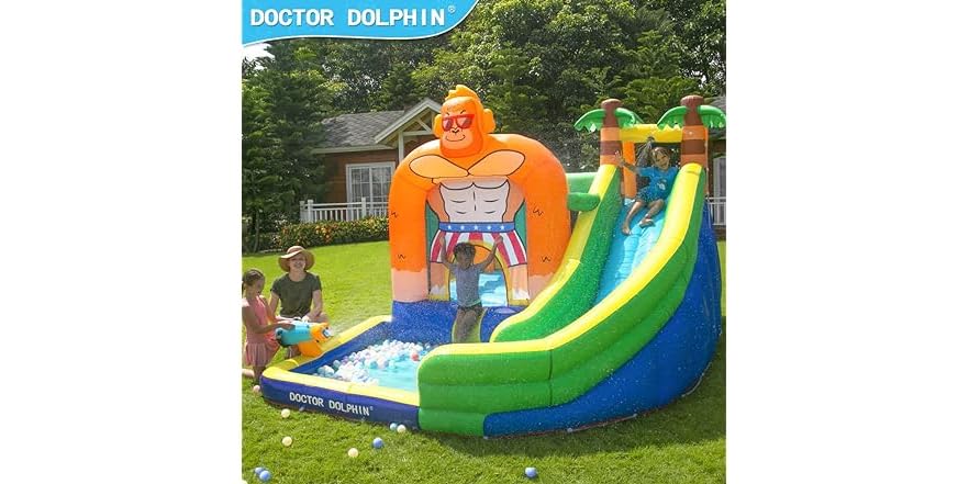 Doctor Dolphin Inflatable Water Slide