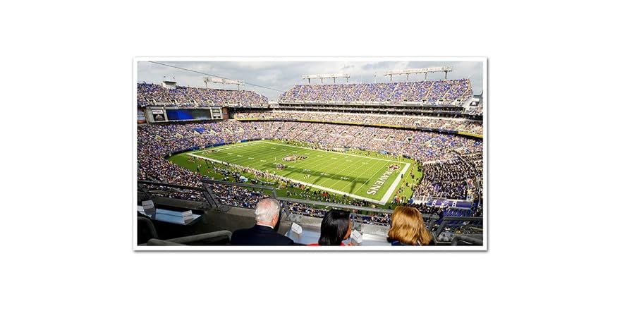 NFL 36x20 Stadium Posters