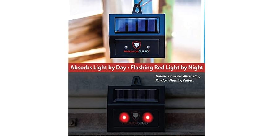 Predator Deterrent Light