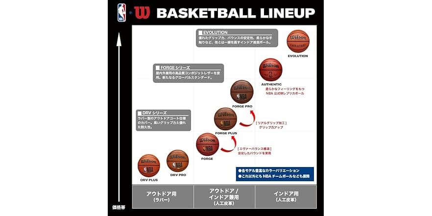 WILSON NBA Forge Pro UV Indoor/Outdoor B