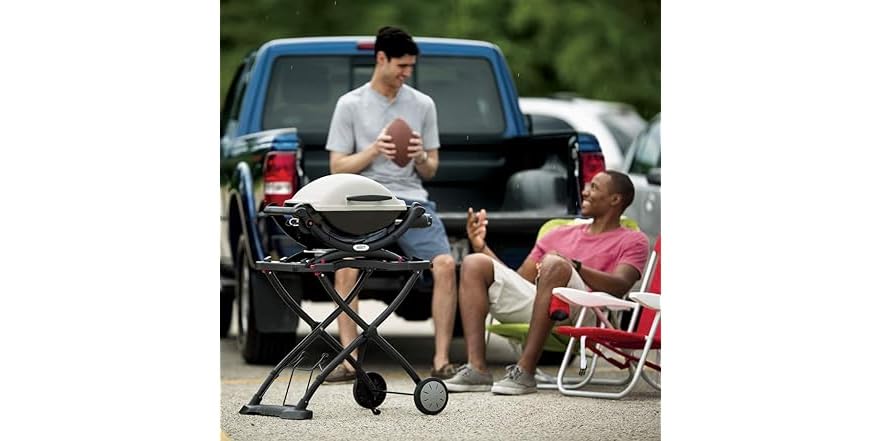 Weber Q1000 Liquid Propane Grill, Titanium