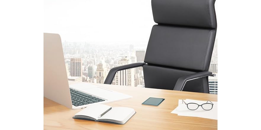 "Madison" Office Chair - 2 Colors