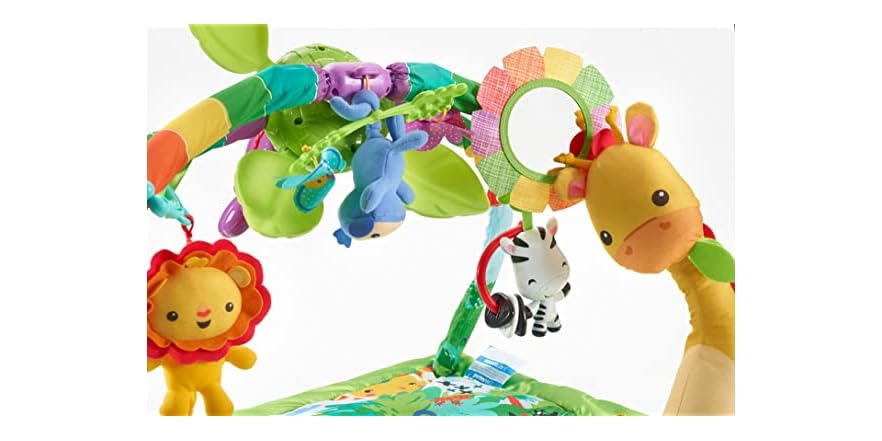 Fisher-Price Rainforest Gym