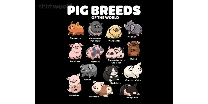World Pigs