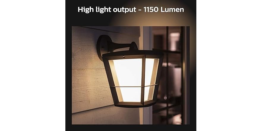 Philips Hue Econic Down Outdoor Smart Wall Light