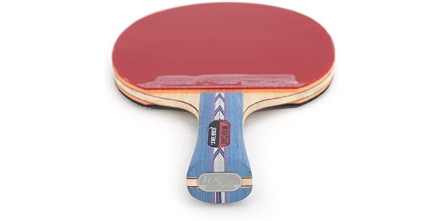 DHS Tournament Ping Pong Paddle