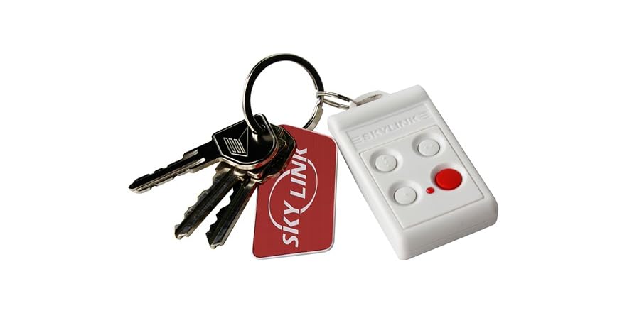 Skylink Security System