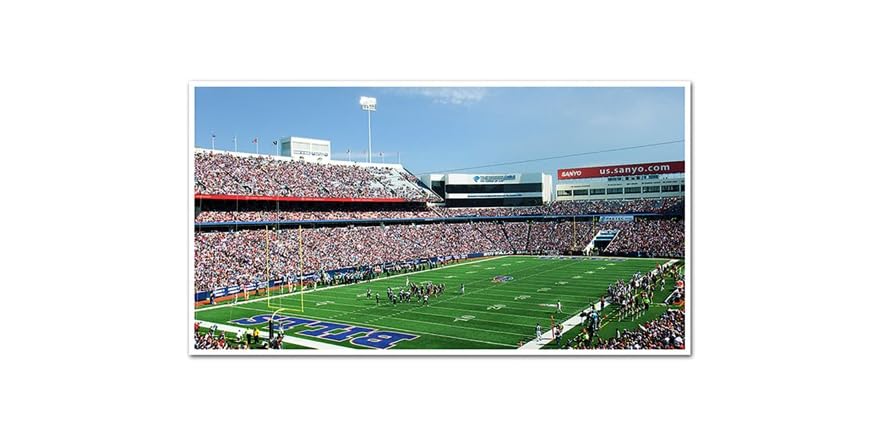 NFL 36x20 Stadium Posters