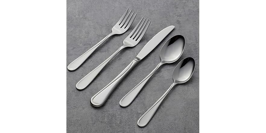 Oneida 20pc Stainless Flatware Set
