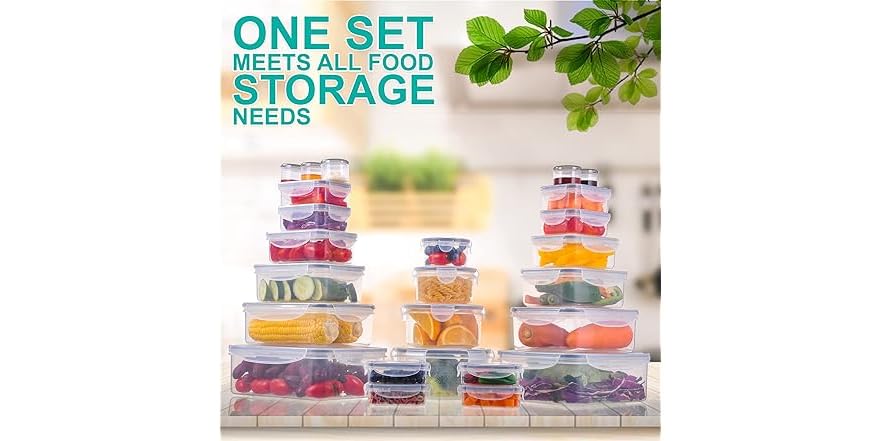 RockBerry 50 Pcs Large Food Storage Cont