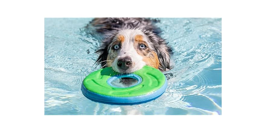 Chuckit! Amphibious ZipFlight Floating Flying Disc