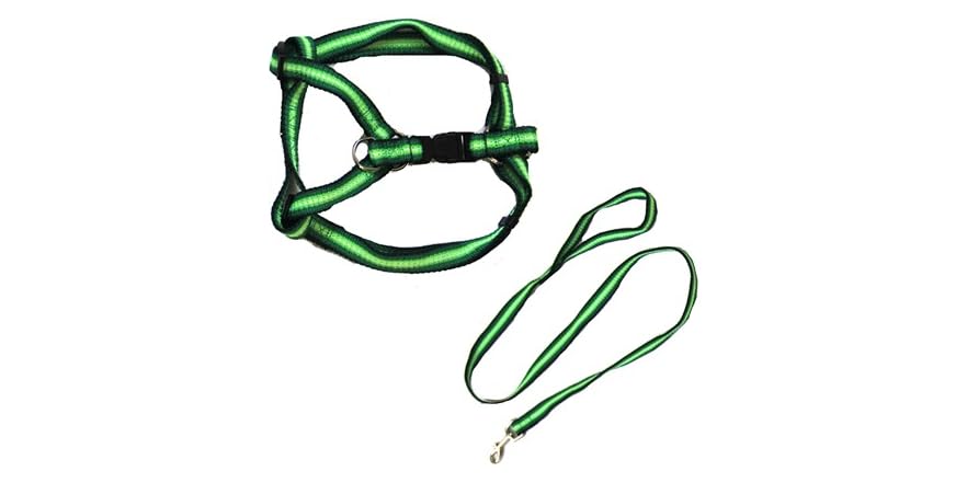 Rainbow Harness with Leash