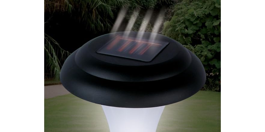 Set of 8 Solar Accent Lights