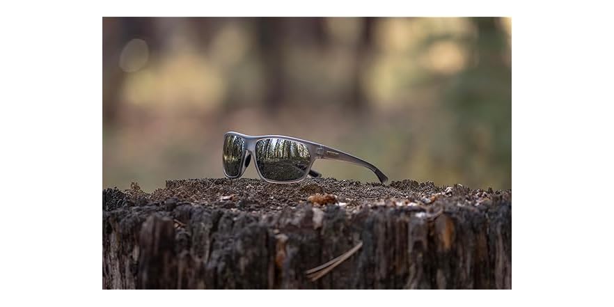 Suncloud Boone Sunglasses