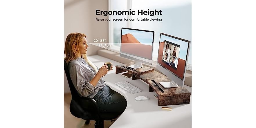 LORYERGO Dual Monitor Stand