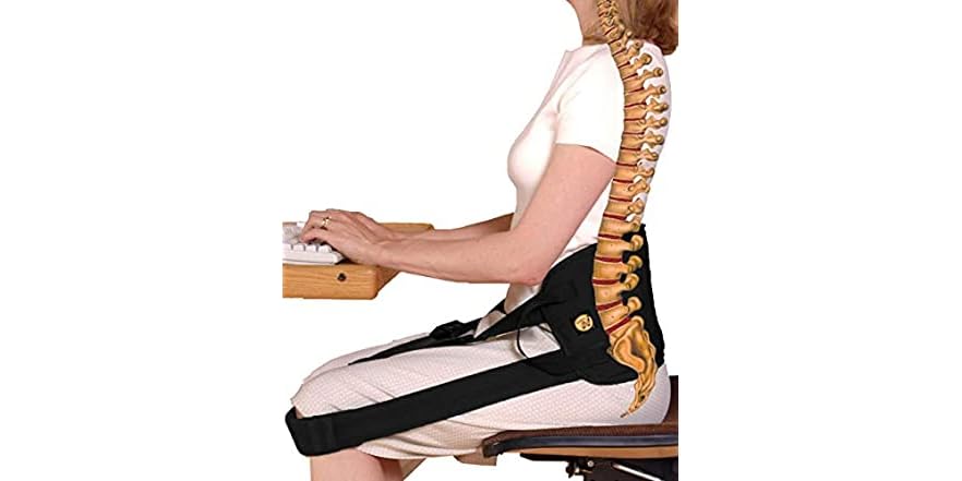 Back Support Pouch Bag