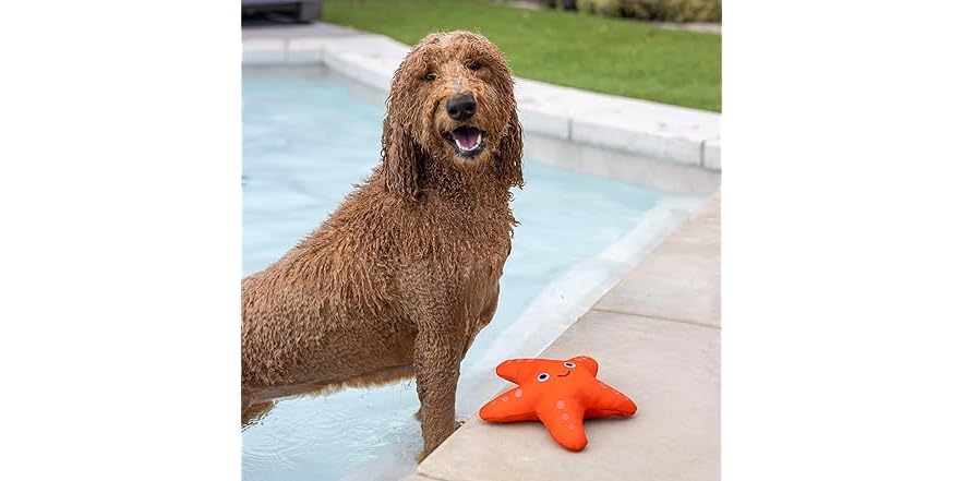 Fringe Studio "Shelly Floating" Dog Toy