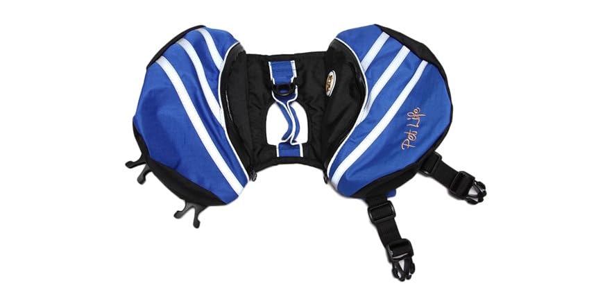 Everest Dupont Backpack - Blue