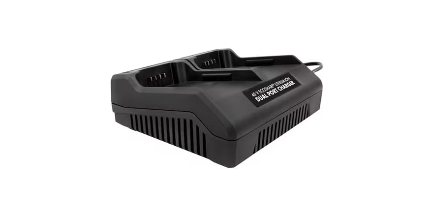 Snow Joe + Sun Joe ICHRG40-DPC Dual Port Charger