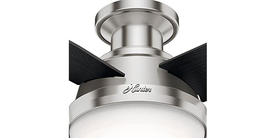 Hunter Dempsey 44" Low Profile Indoor Ceiling Fan