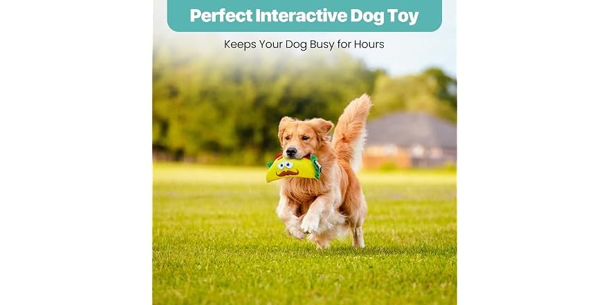 SPOT Fun Food Taco Plush Dog Toy with Squeaker