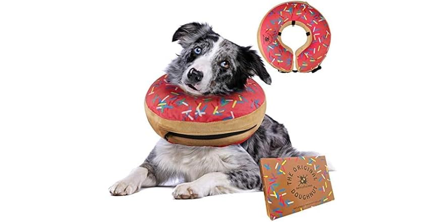Dog Donut Collar