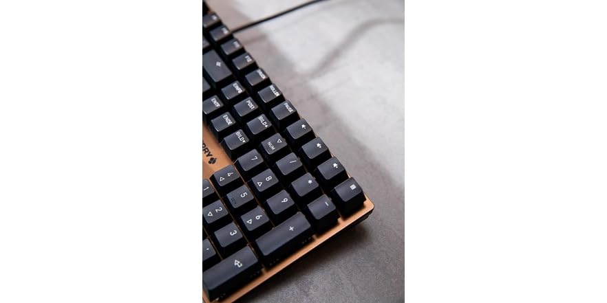 Cherry KC 200 MX Mechanical Office Keyboard