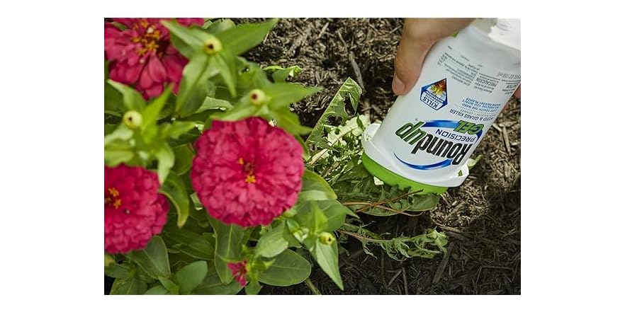 RoundUp Precision Gel Weed & Grass Killer 5oz
