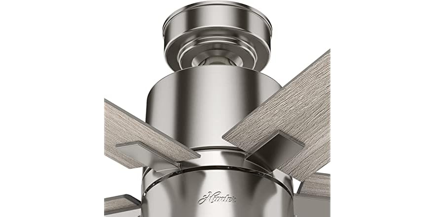 Hunter Fan 52" Contemporary Indoor Ceiling Fan