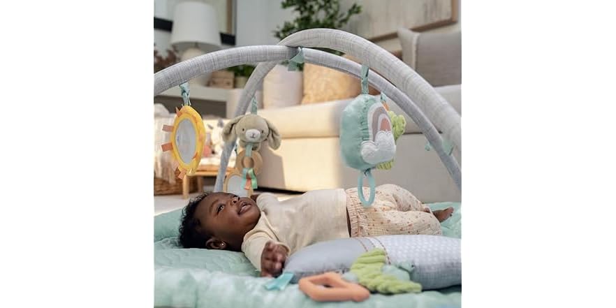 Ingenuity Calm Springs Plush Activity Gym