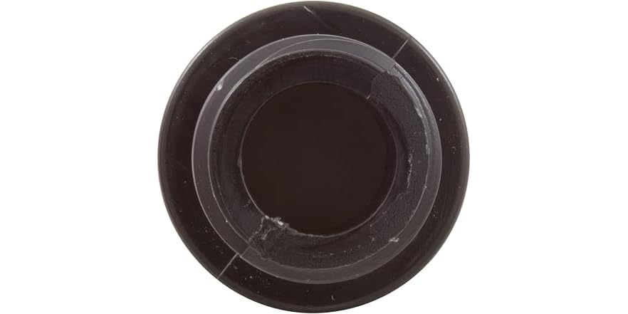 Pentair Rainbow 320 Check Valve, 1/2 in.