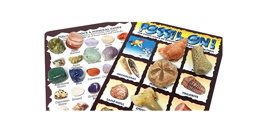 FOSSIL ON Rock & Mineral Collection Game