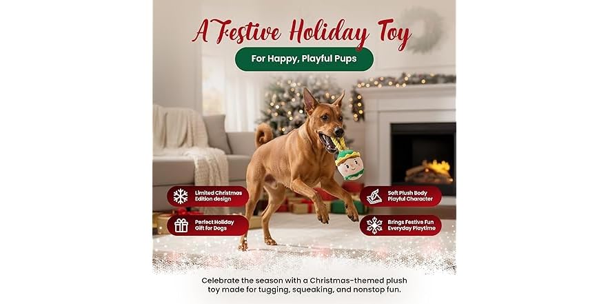Bow Wow Pet Elf Ornament Rope Plush Dog Chew Toy