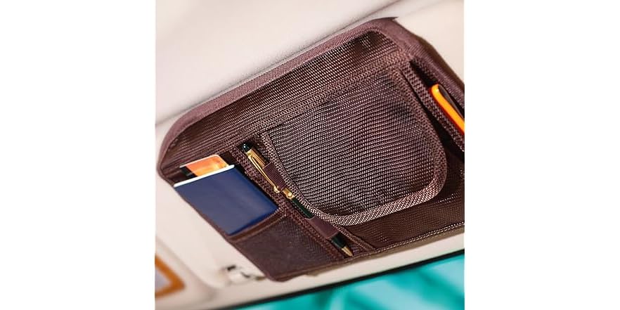 Titans NV-03427 Auto Visor Organizer