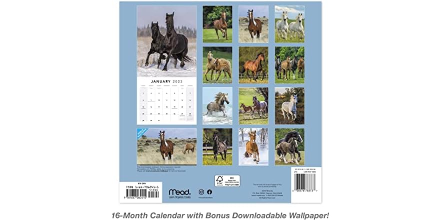 Mead 2023 Horses Monthly Wall Calendar