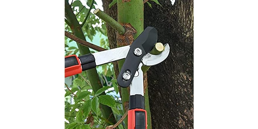 Kapoo Extendable Bypass Lopper with Compound Action