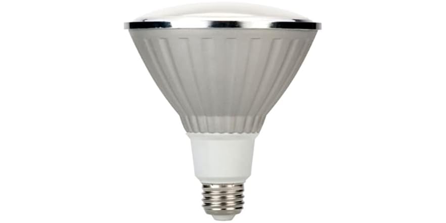 Globe Electric 17-watt LED Dimmable Bulb