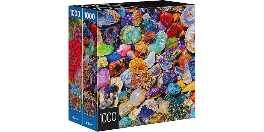 2-Pack of 1000-Piece Jigsaw Puzzles