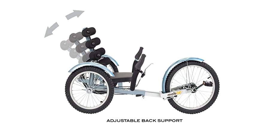 Mobo Cruiser Shift Adult Tricycle Bike 20-Inch