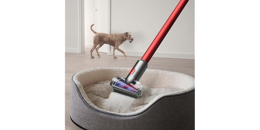 Dyson Outsize Plus Cordless Vacuum