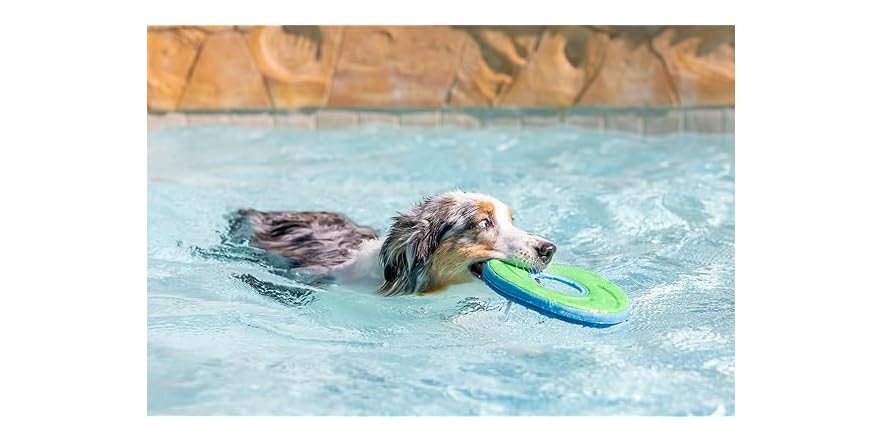 Chuckit! Amphibious ZipFlight Floating Flying Disc