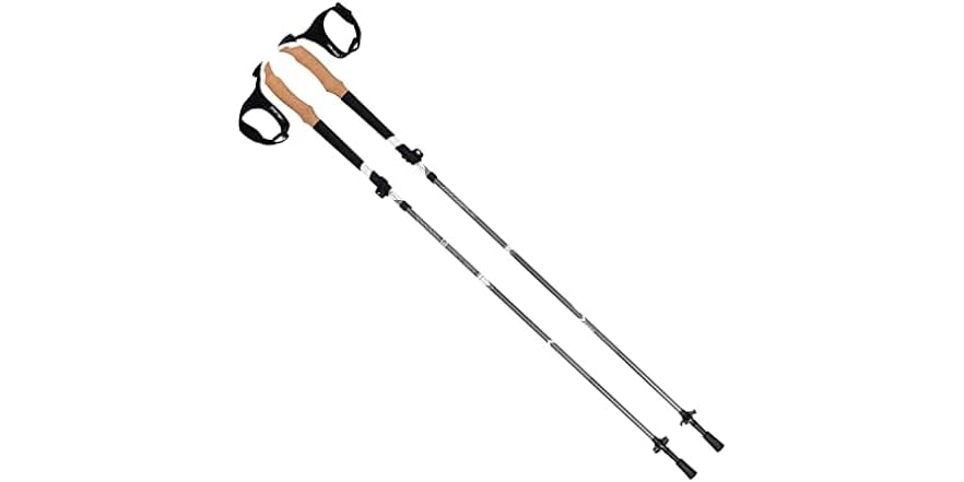 Terrain™ Alpha Aluminum Trekking Poles