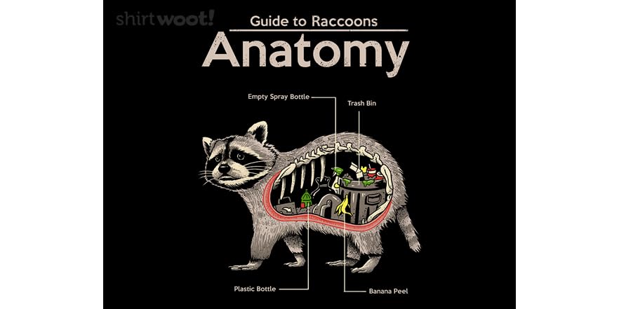 Anatomy of a Raccoon