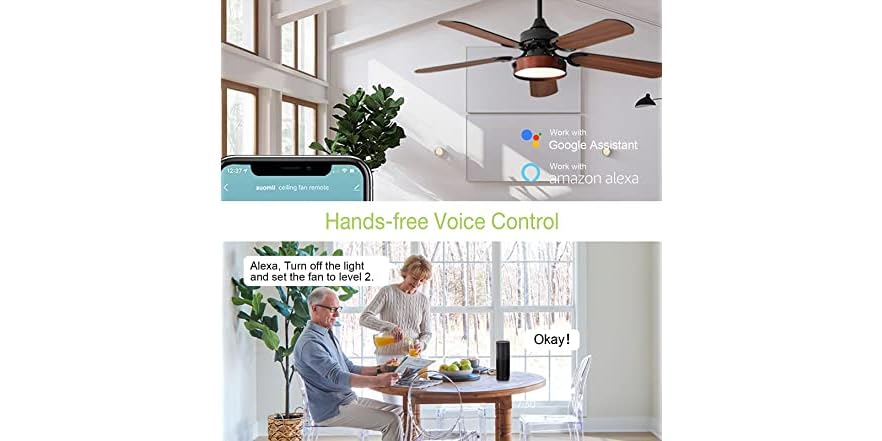 TESSAN Smart Ceiling Fan Control & Dimmer