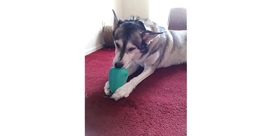 Chew King Rubber Premium Treat Dog Toy, XL