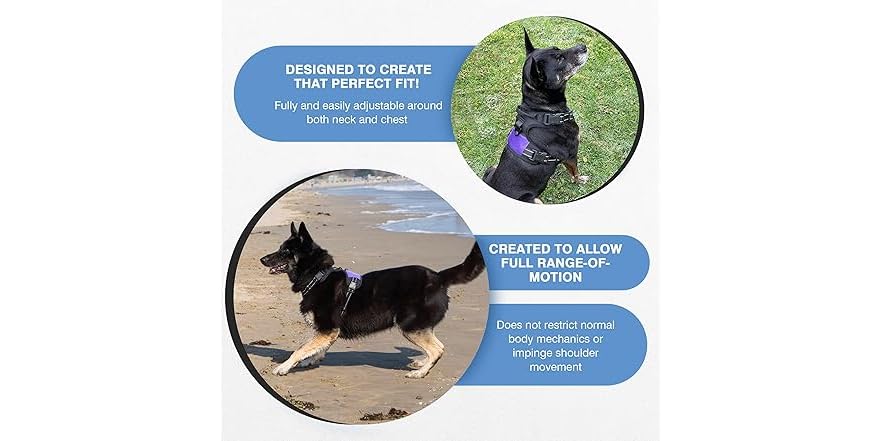 The Inquisitive Canine The North Star Dog Harness